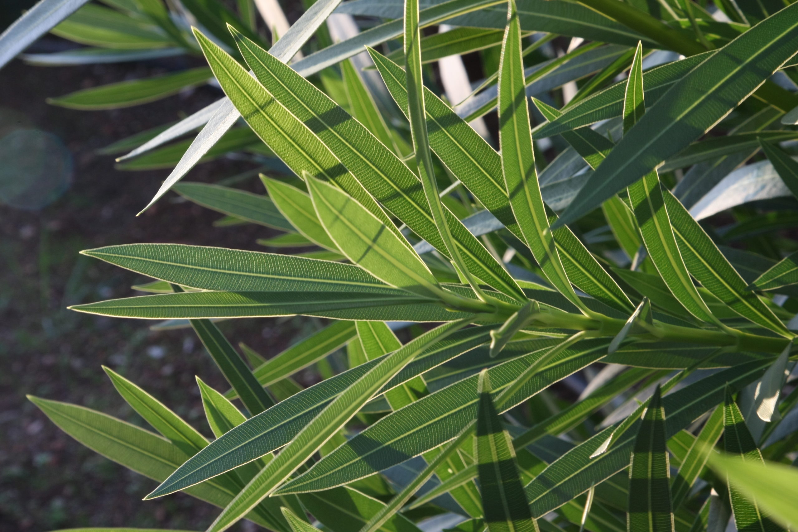 Esp8266 Websockets Streaming Data From The Esp Module It Handyman